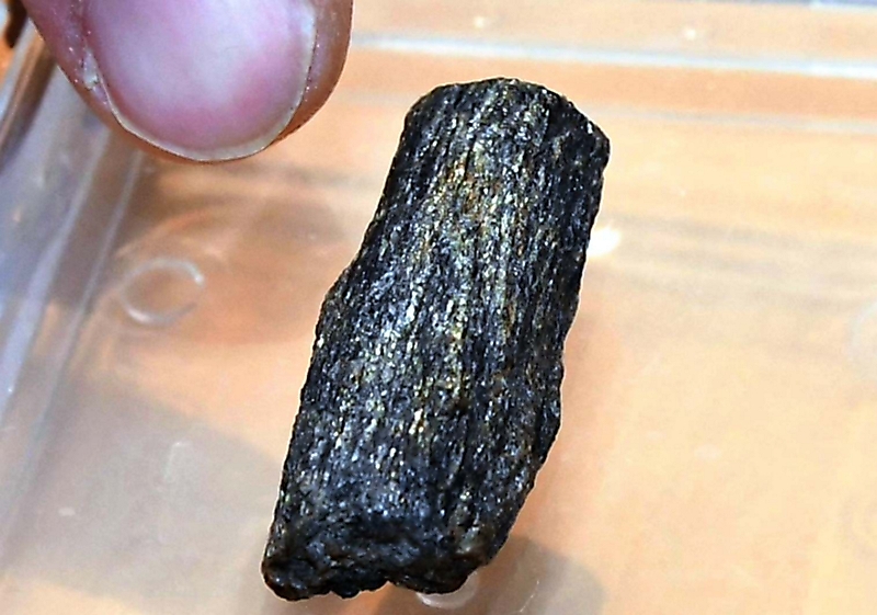 最古の石棒一般公開 佐久穂町で展示 縄文人の信仰や石棒 思いはせて｜信濃毎日新聞デジタル 信州・長野県のニュースサイト