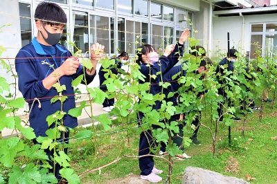 中学校で授業「ワイン講座」開講 飲むのは大人になってから 原村｜信濃毎日新聞デジタル 信州・長野県のニュースサイト